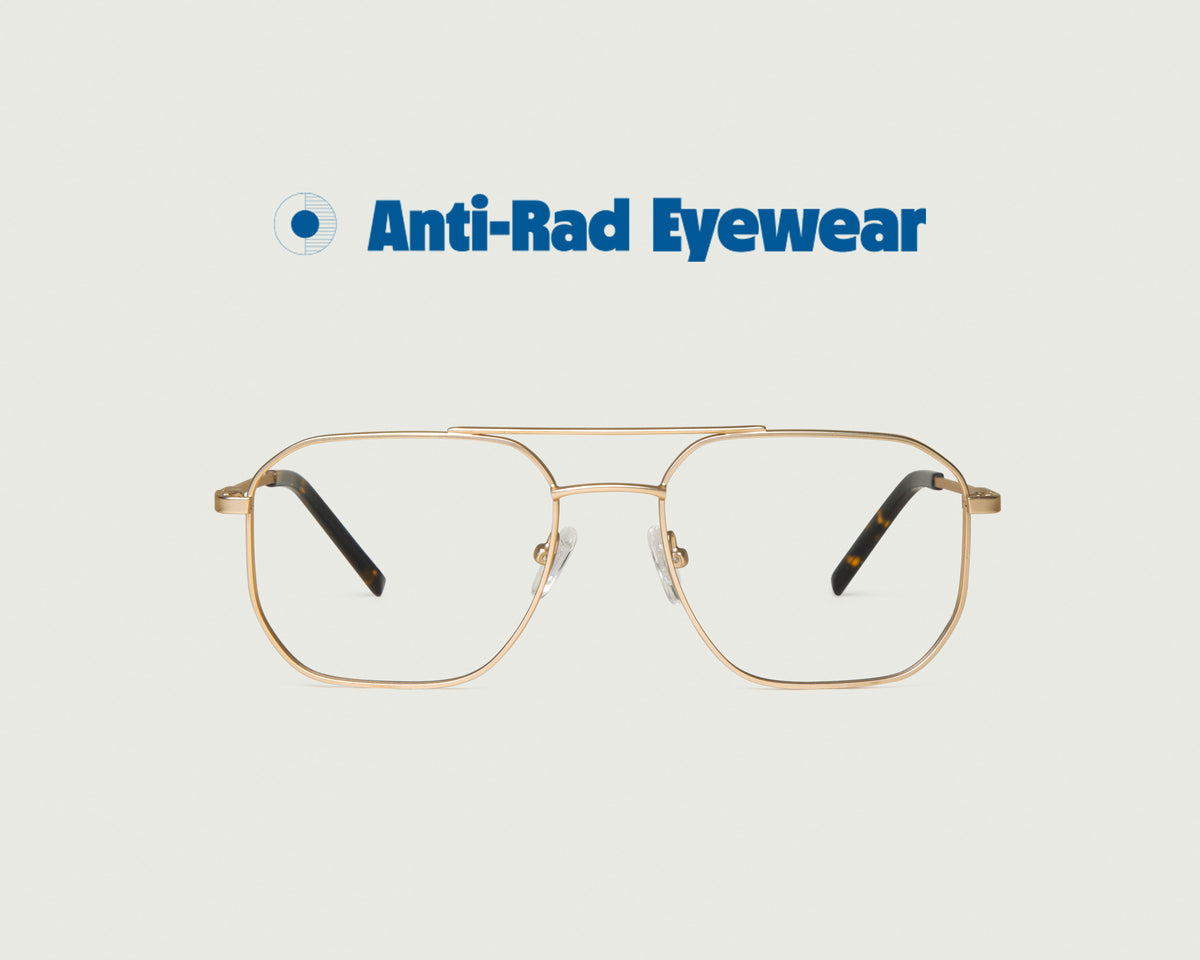 Malcom – Sunnies Studios