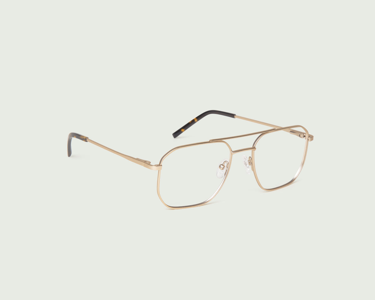 Malcom – Sunnies Studios